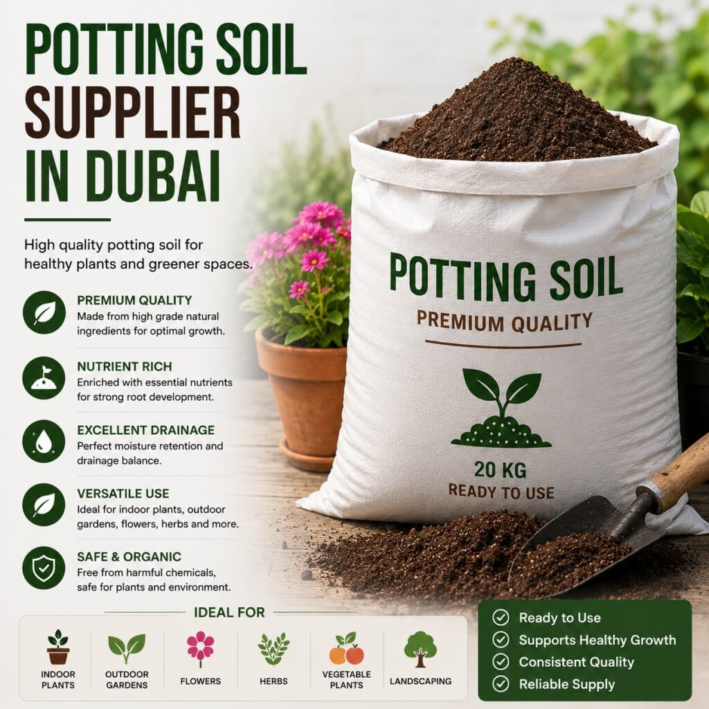Silica Sand Supplier Dubai & Sharjah | Bulk Washed Sand UAE